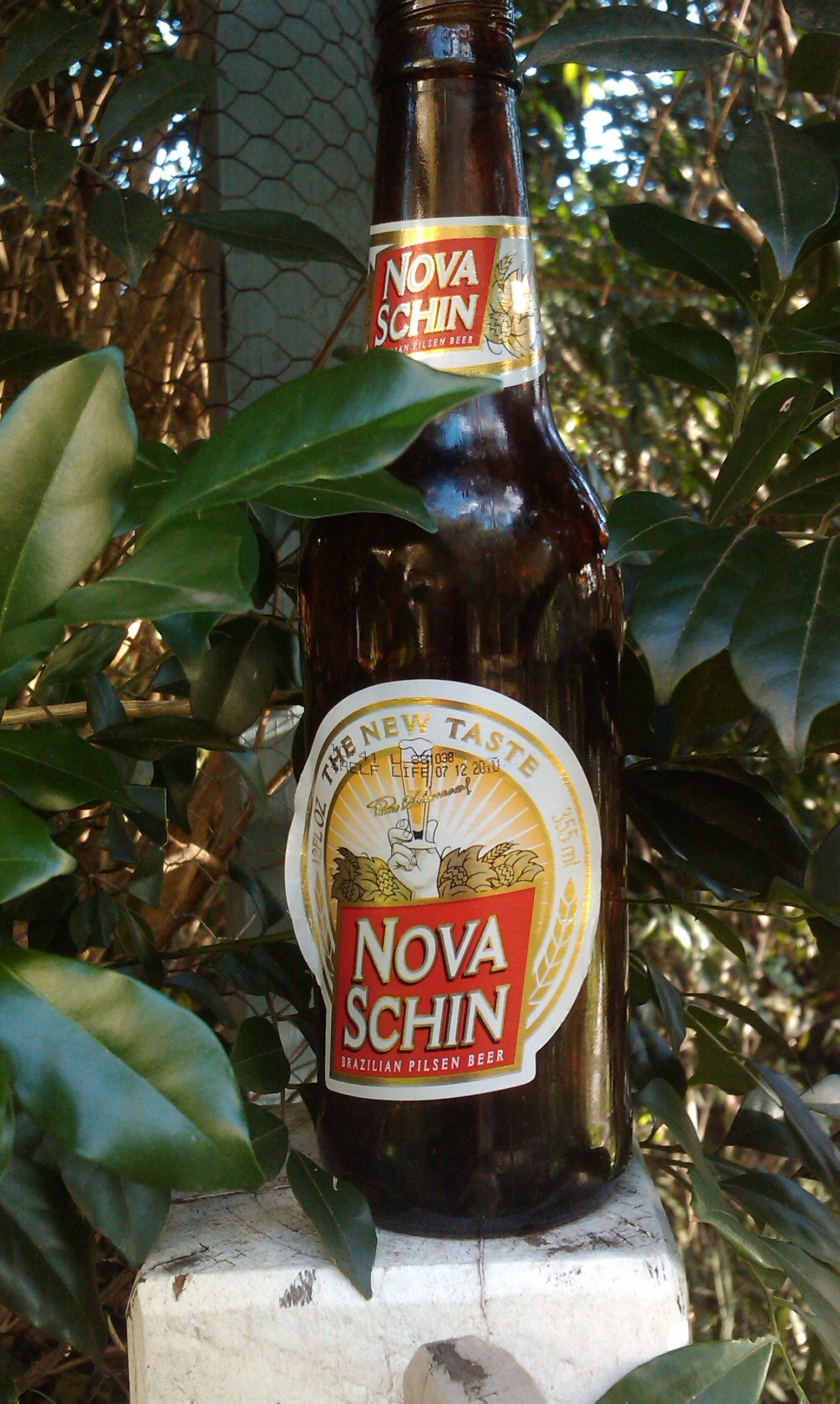 Brazilian beer and unusual advertising – back of the ferry