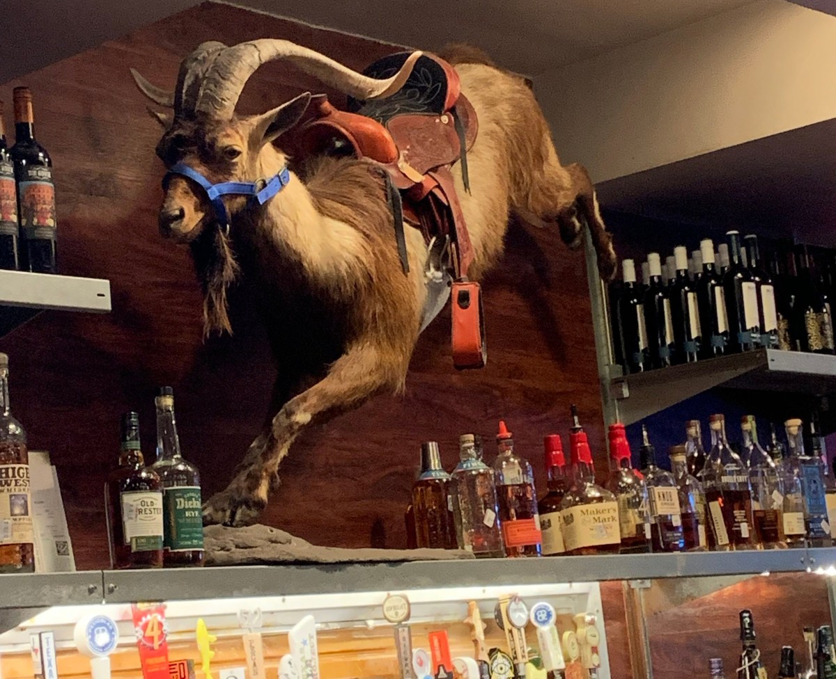 Dallas, TX and Goats are better than Sheep – back of the ferry